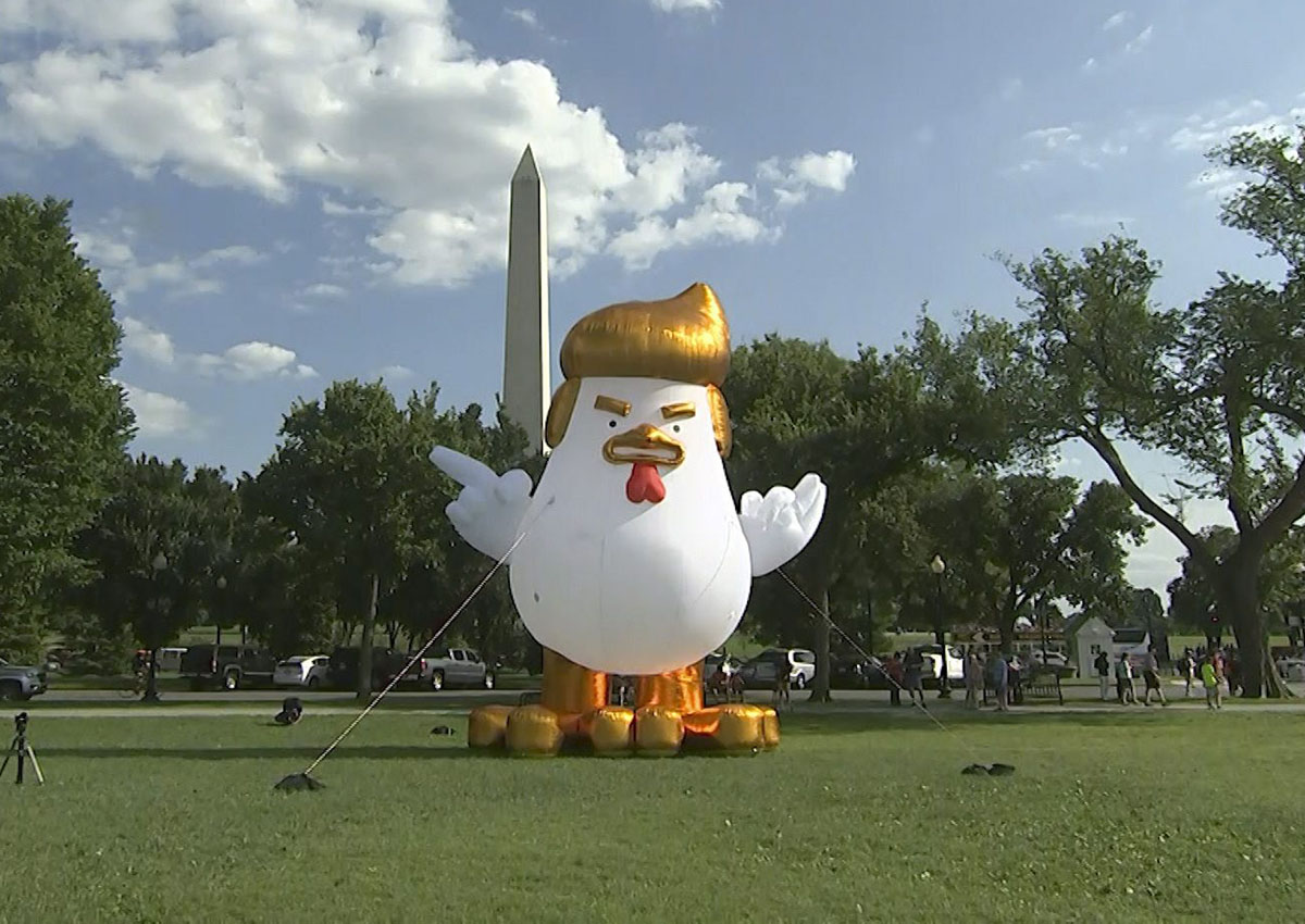 Inflatable Donald Trump chicken stands tall outside White House ...