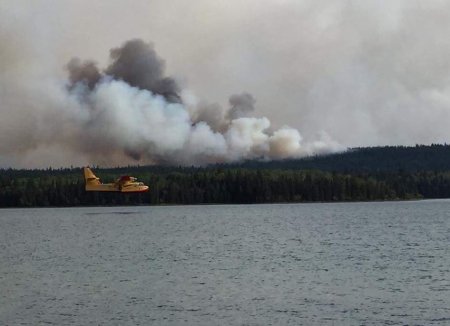 Record-setting heat, strong winds, whip up wildfires around B.C ...