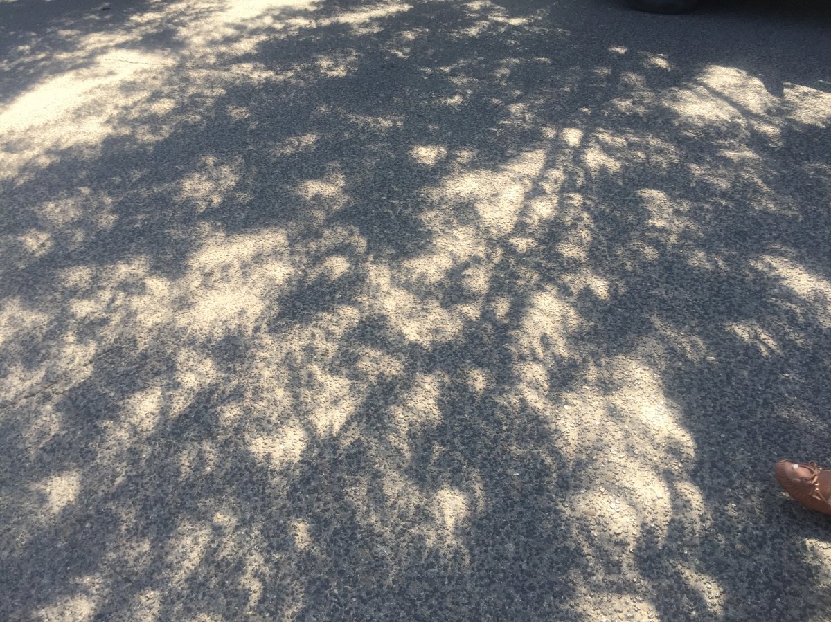 Solar eclipse excitement engulfs Regina - Regina | Globalnews.ca