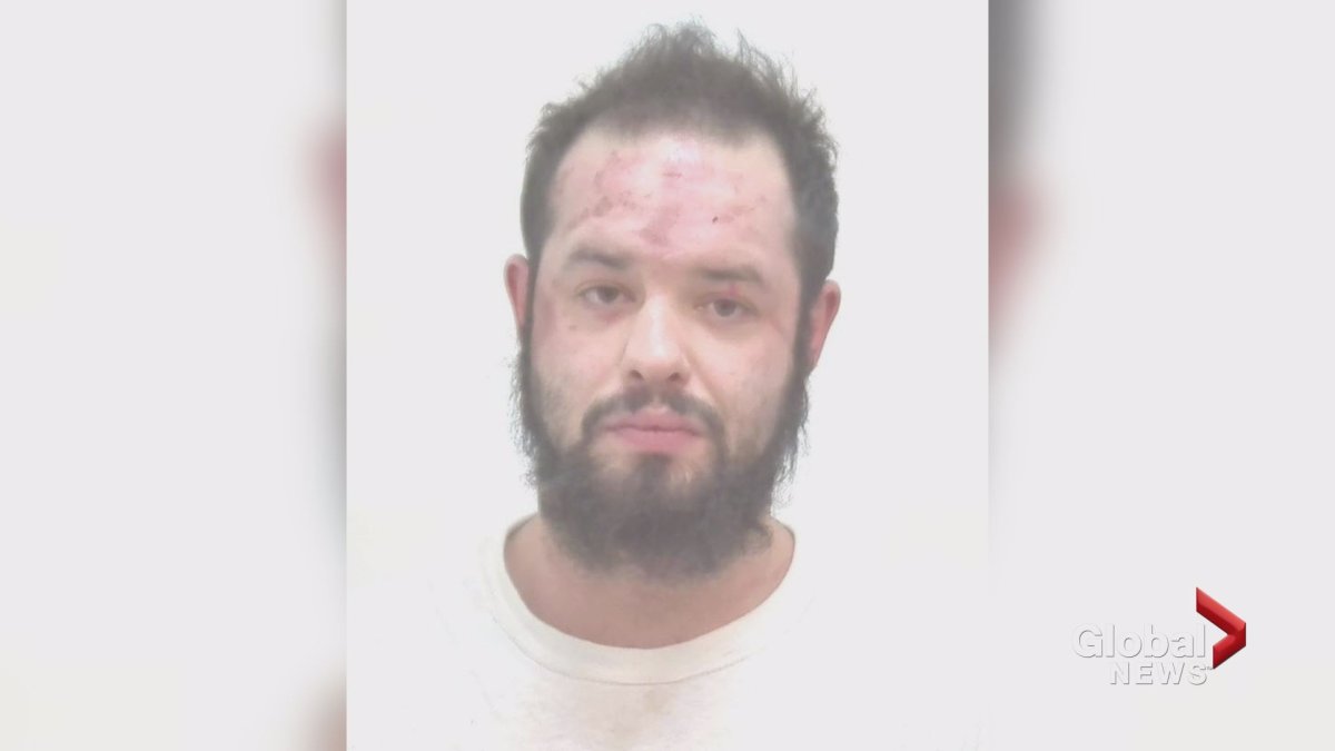 Calgary suspect in domestic hit-and-run surrenders to police - Calgary ...