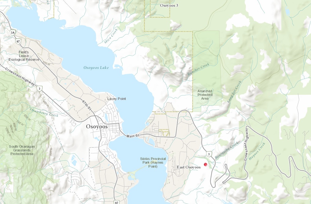 Grass fire near Osoyoos contained | Globalnews.ca