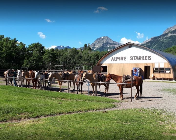 ‘Devastated’: Waterton Alpine Stables destroyed in fire - Lethbridge ...