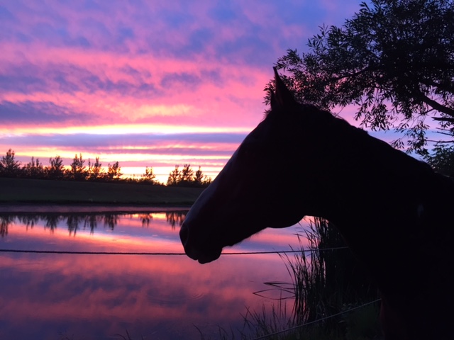 Best of ‘Your Manitoba’ photos in August 2017 - Winnipeg | Globalnews.ca