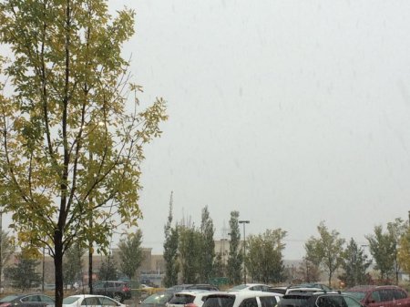 September snow blankets Edmonton area; snowfall warning issued for ...