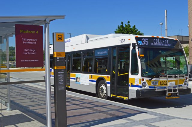 City Council drops appeal of bus shelter ad ruling - Hamilton ...