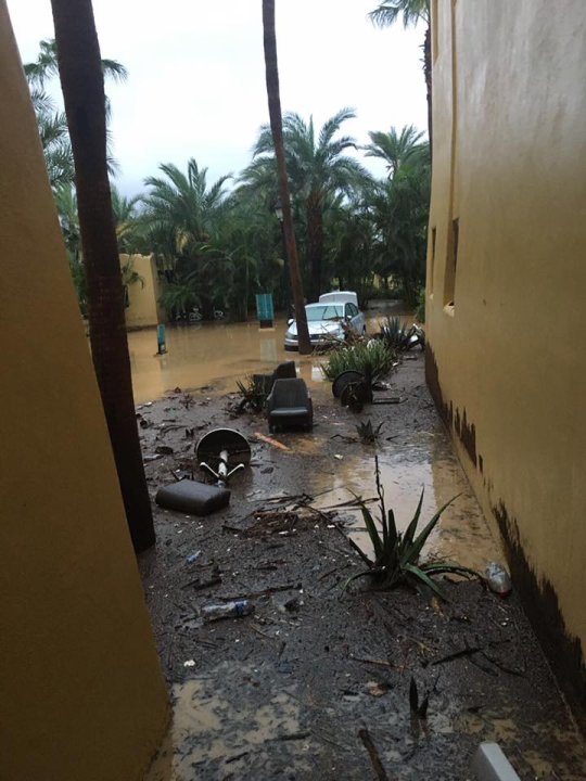 PHOTOS: B.C. resident shares images of devastation in Cabo after ...