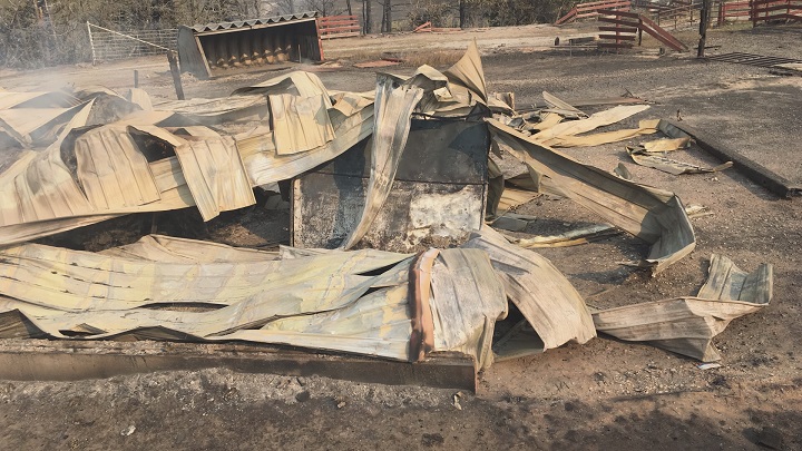 Rocking Heart Ranch looks to rebuild after fire: ‘I’m hopeful for the ...