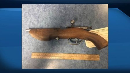 2 sawed-off rifles seized by Prince Albert police - Saskatoon ...