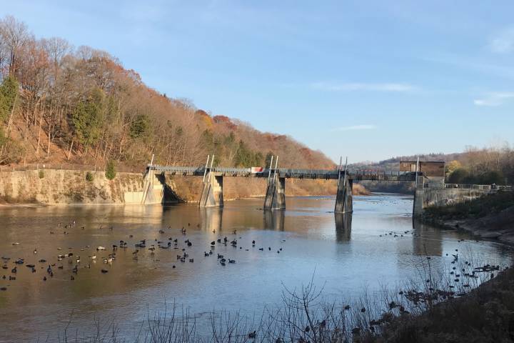 Public consultations set to begin on future of Springbank Dam, will ...