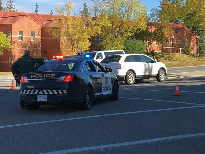 2 seniors hit by vehicle suffer serious injuries: Calgary EMS - Calgary ...