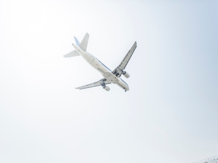 A couple got engaged on a flight that was plummeting 24,000 feet ...