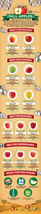 Making the most of apple season | Globalnews.ca