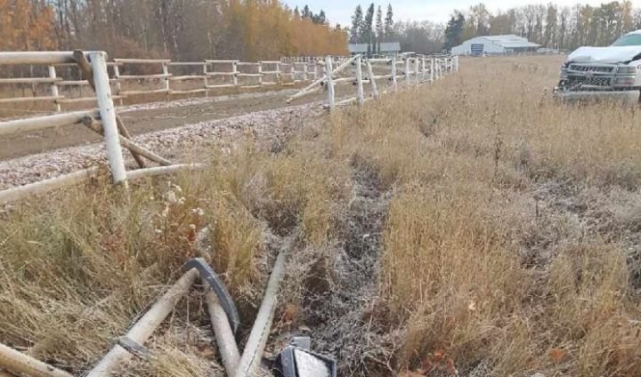 2 people charged in violent central Alberta crime spree | Globalnews.ca