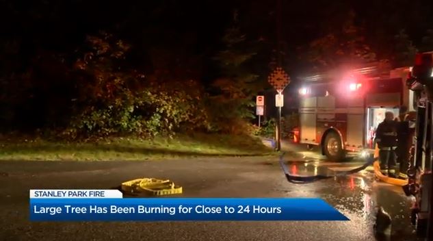 Large tree in Stanley Park has been burning for almost 24 hours - BC ...