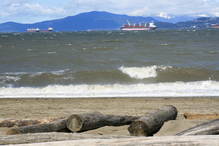 Strong winds expected to batter B.C.’s south coast - BC | Globalnews.ca