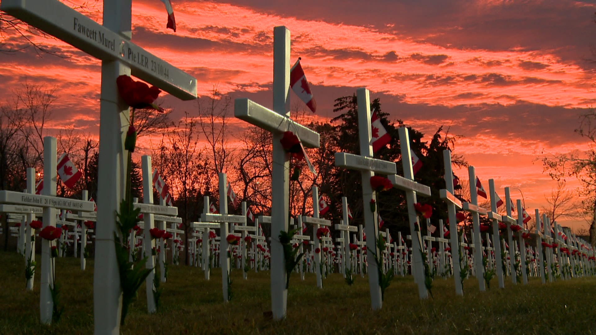 Calgary Remembers: Thousands gather for Remembrance Day ceremony at ...