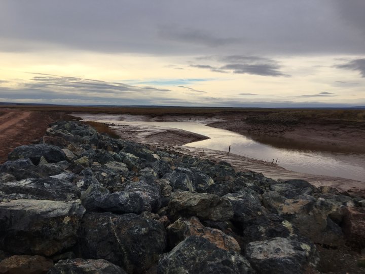 Salt marshes in the Maritimes to be restored in bid to combat rising ...