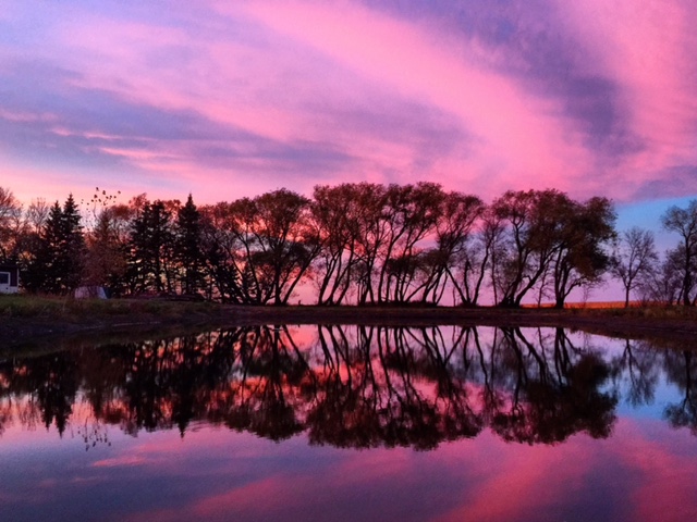 Best of ‘Your Manitoba’ in October 2017 - Winnipeg | Globalnews.ca