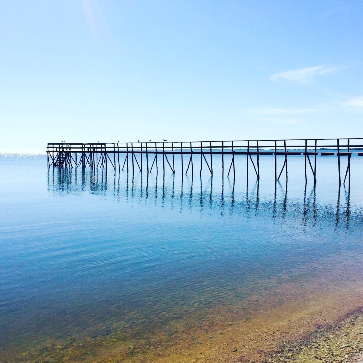 Best of ‘Your Manitoba’ in October 2017 - Winnipeg | Globalnews.ca