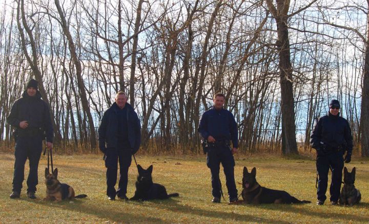 Central Alberta training centre teaches RCMP dogs to detect human ...
