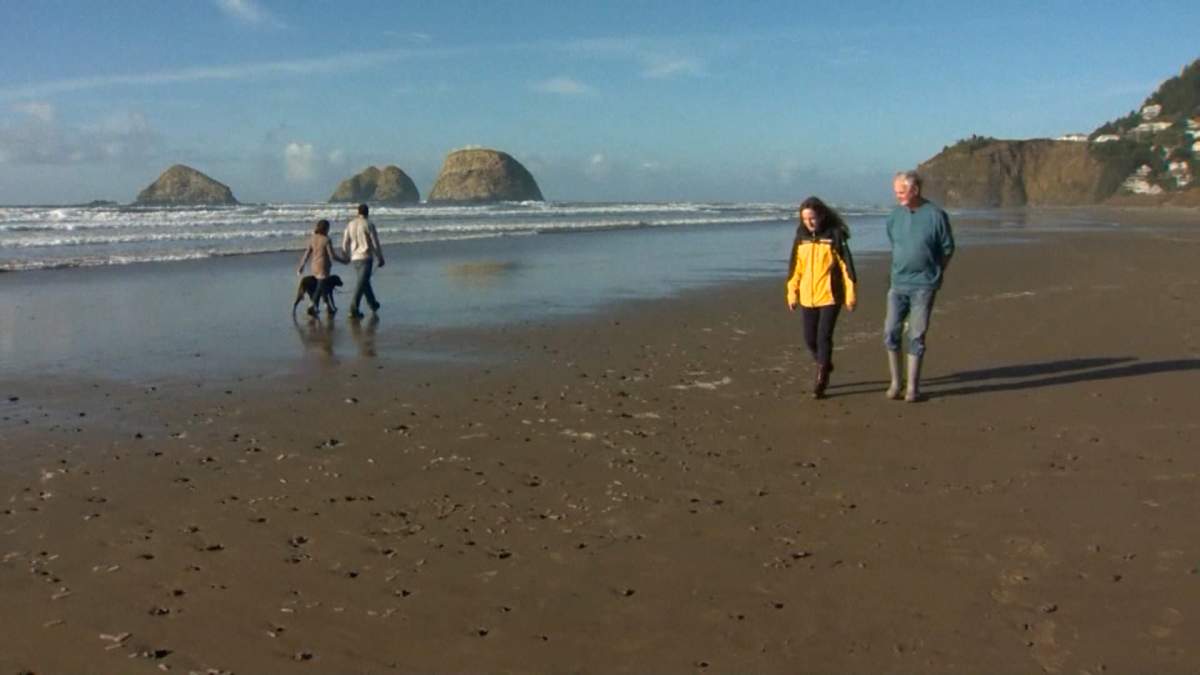 Millions of ‘sea pickles’ invade Oregon beaches, but real impact is ...