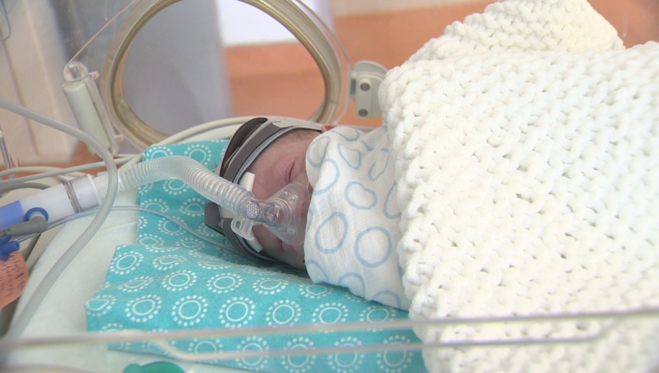 World Prematurity Day: 1 in 10 babies born prematurely in Quebec ...