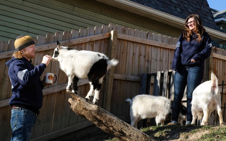 therapy goats | News, Videos & Articles