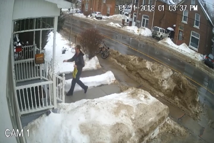 Home security video of a mailbox theft in Kingston goes viral ...
