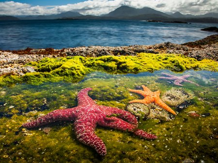 ‘Blue Planet II’: 7 things to know about the nature sequel - National ...
