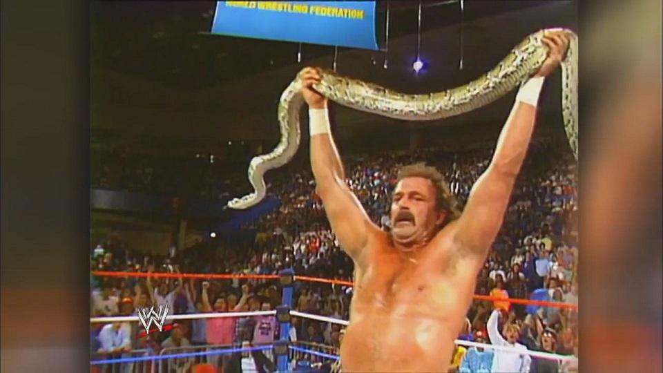 WWE legend Jake “The Snake” Roberts reaches out after battle with ...