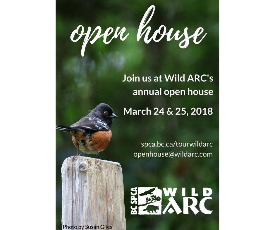 BC SPCA Wild ARC – 14th Annual Open House! - GlobalNews Events