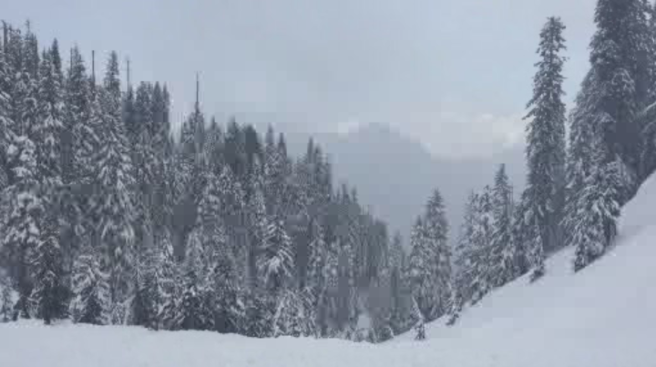 Snowmobiler dies near Whistler after stopping on a pack of snow and ...