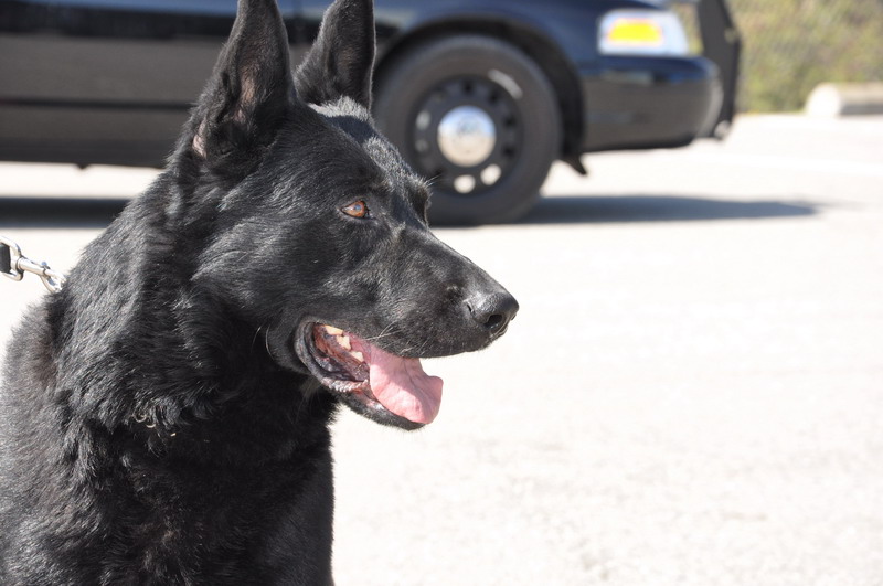 One suspect in custody following Lake Country coffee shop break-in ...