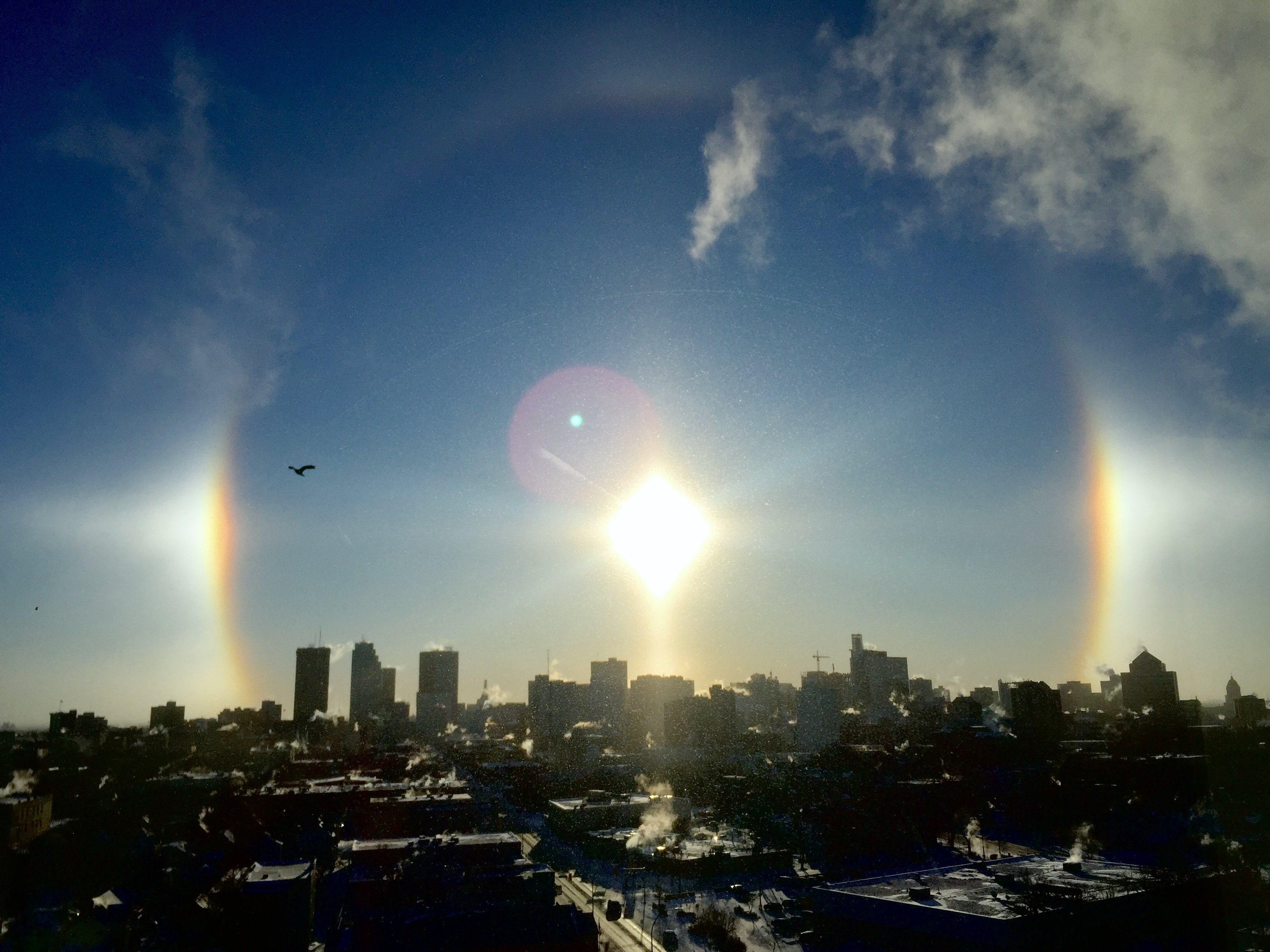 Where Can I Find A Sun Dog