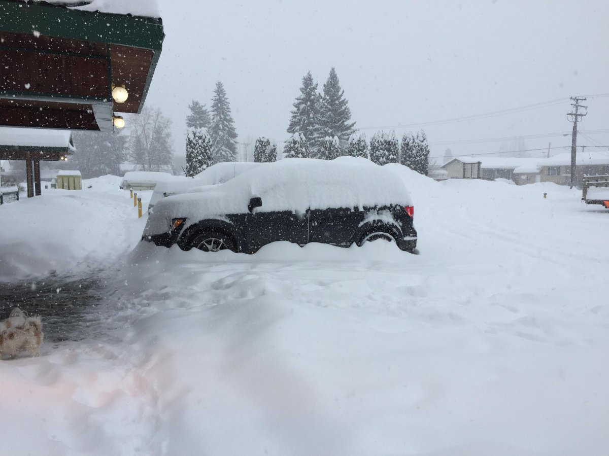 Massive winter storm dumps more than 30 centimetres of snow on parts of ...