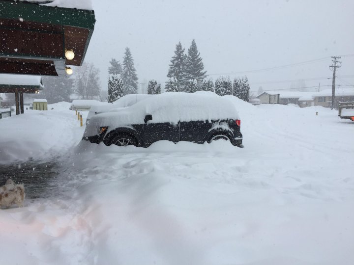 Massive winter storm dumps more than 30 centimetres of snow on parts of ...