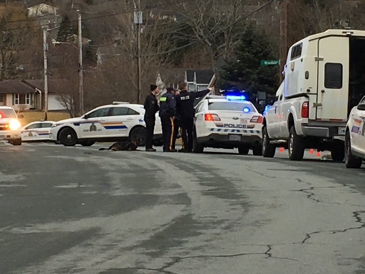 Halifax RCMP investigating reports of gunshots in Lower Sackville ...