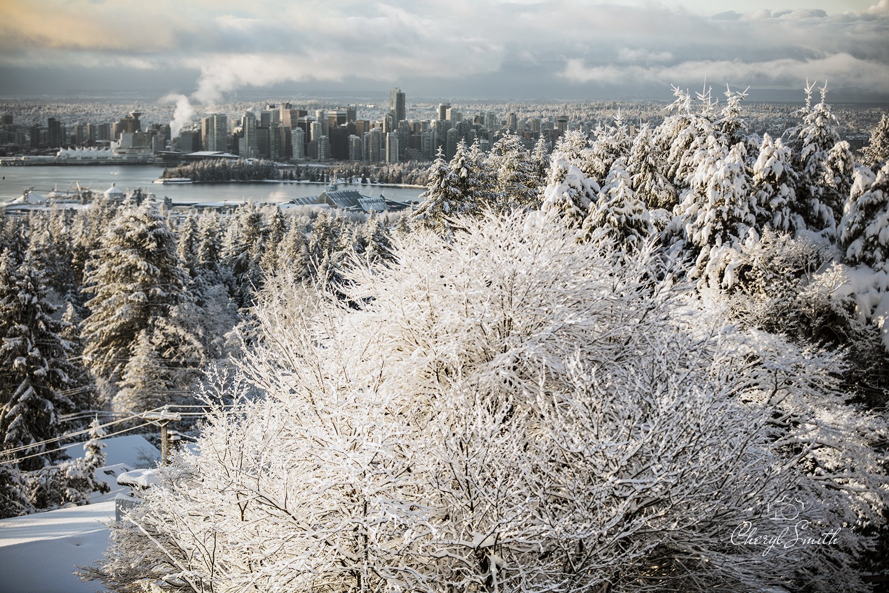 In photos: Snow blankets B.C.’s South Coast - BC | Globalnews.ca