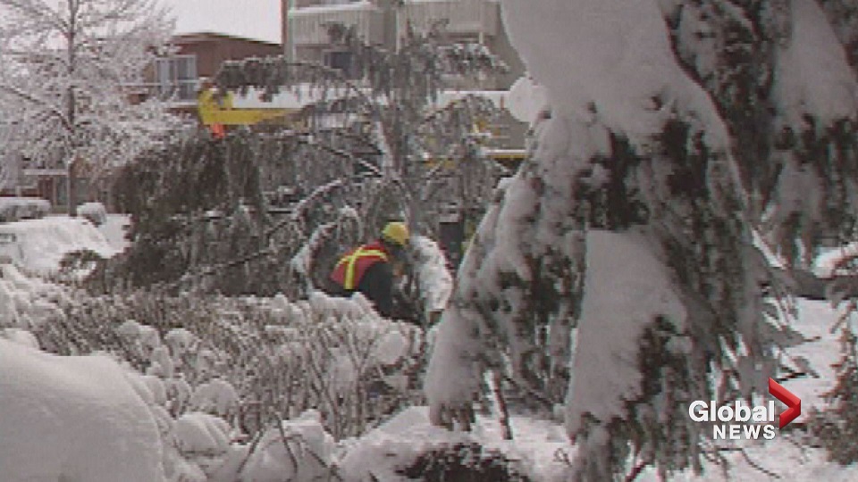 A Calgary St. Patrick’s Day to remember: Remembering the 1998 blizzard ...