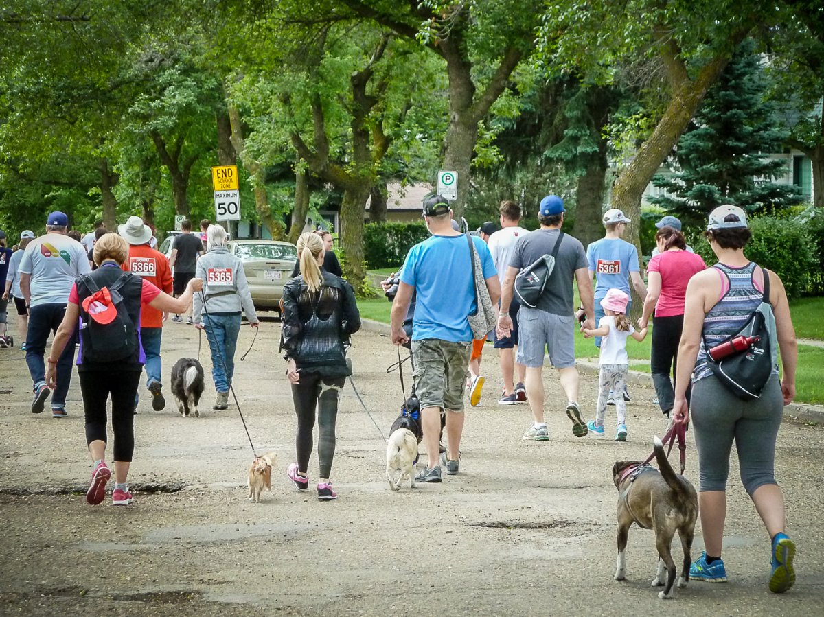 Run Walk Ride for Vision Zero - GlobalNews Events