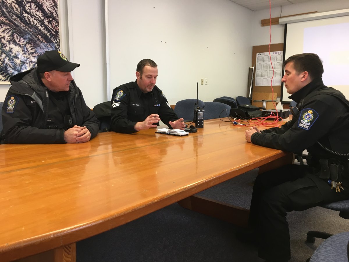 Conservation officers step up enforcement of Revelstoke caribou ...