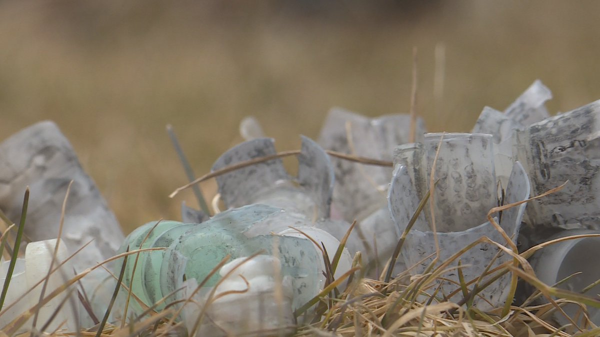 More than 7,500 plastic shotgun shell waddings collected along N.S ...