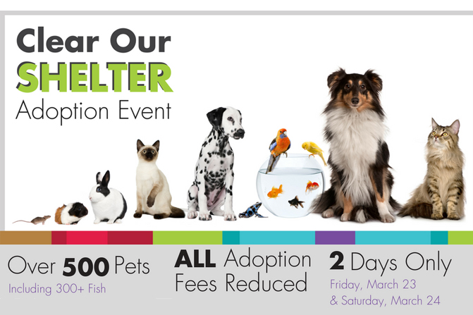 Clear Our Shelter Adoption Event - GlobalNews Events
