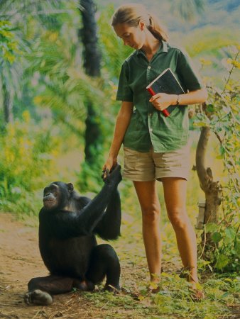 ‘Jane’: 5 amazing things about the Jane Goodall documentary - National ...