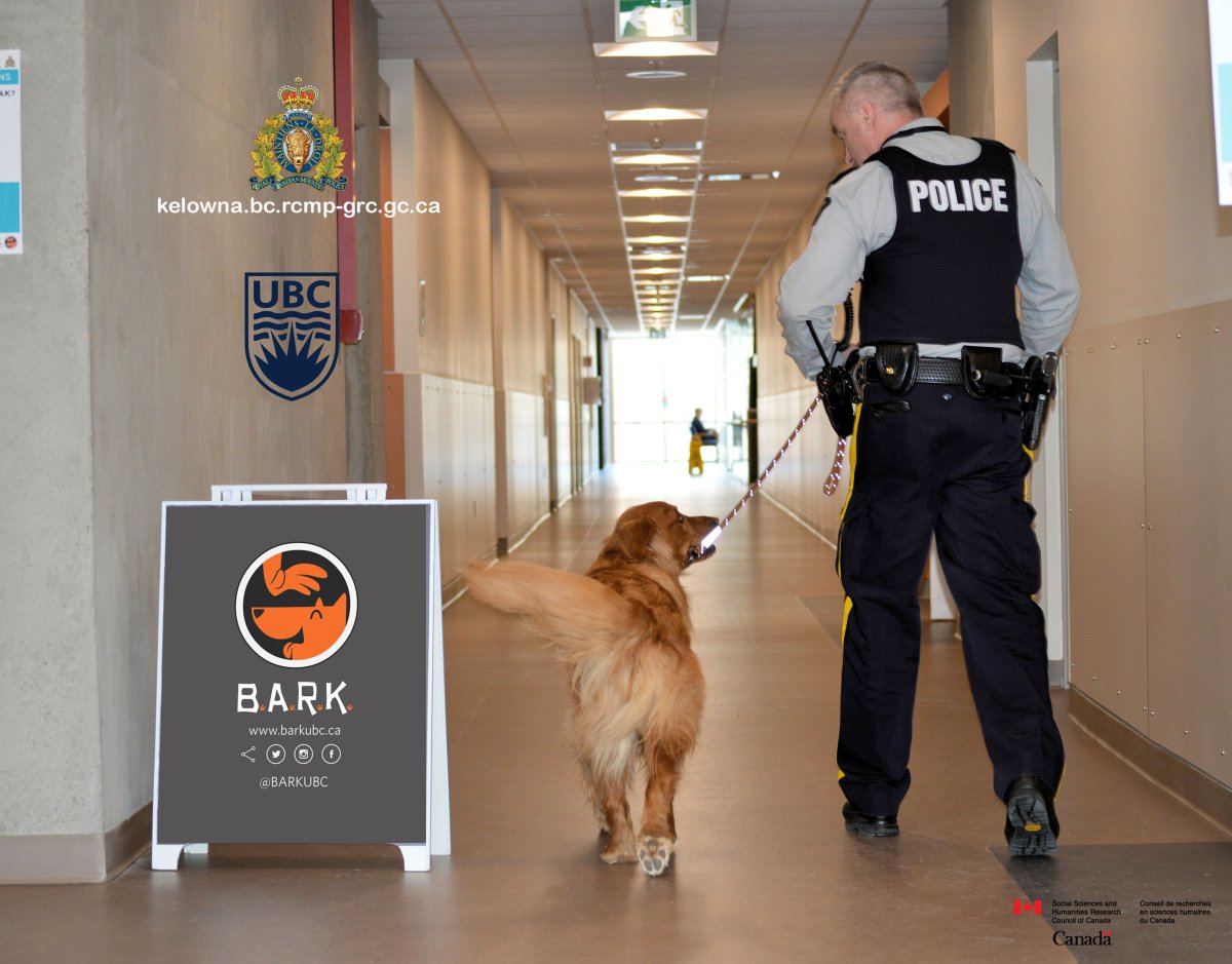 Kelowna RCMP test pilot project using animals to reduce work stress ...