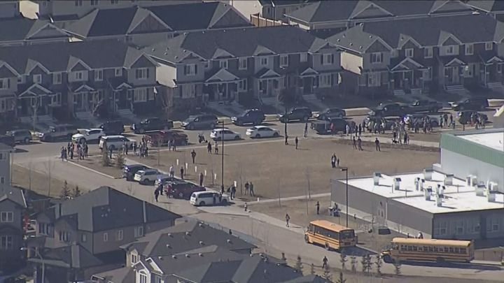 Beaumont RCMP arrest man after gun call places schools on ‘hold and ...