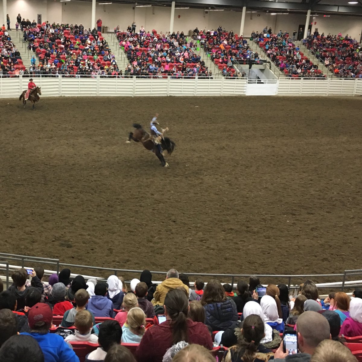 120 rodeo superstars announced to compete in 2018 Calgary Stampede ...