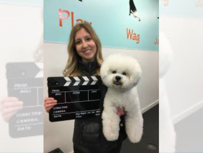 Get your pet on a movie set: Manitoba dogs take acting lessons ...