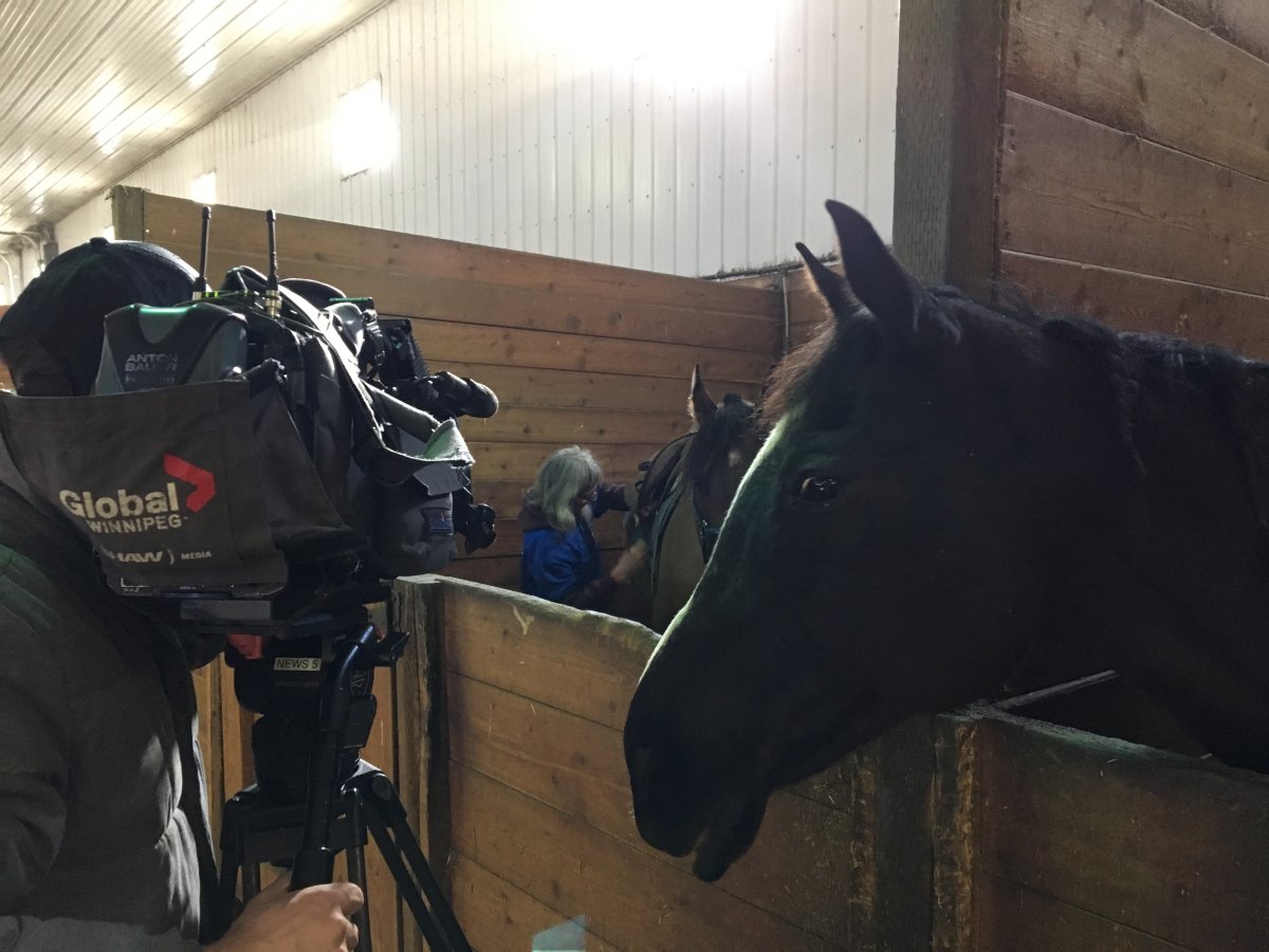 Volunteers at the heart of horseback riding program - Winnipeg ...