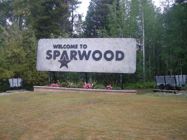 B.C. municipal election 2022: Sparwood results - BC | Globalnews.ca